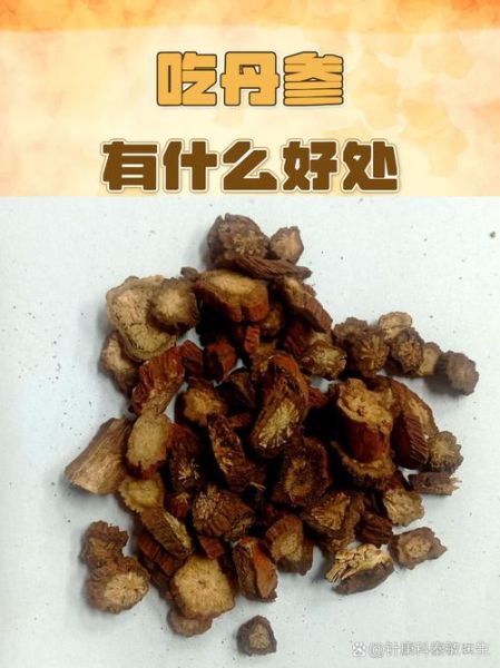 丹参的功效与作用有哪些_丹参怎么吃效果最好-第1张图片-山城妙识 丹参的功效与作用有哪些_丹参怎么吃效果最好-第1张图片-山城妙识