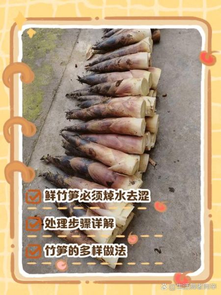 鲜竹笋怎么做好吃_鲜竹笋焯水多久才脆嫩-第1张图片-山城妙识 鲜竹笋怎么做好吃_鲜竹笋焯水多久才脆嫩-第1张图片-山城妙识