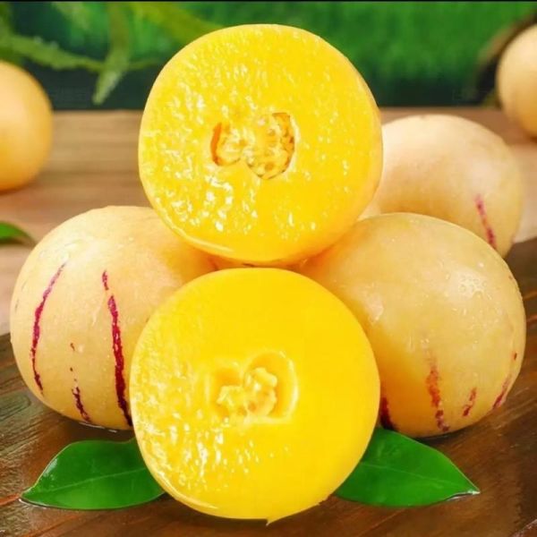 人参果长什么样_人参果图片真假辨别-第2张图片-山城妙识