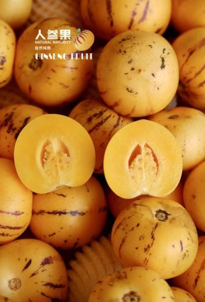 人参果长什么样_人参果图片真假辨别-第1张图片-山城妙识