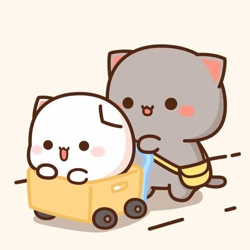 蜜桃猫是什么品种_蜜桃猫多少钱一只-第3张图片-山城妙识