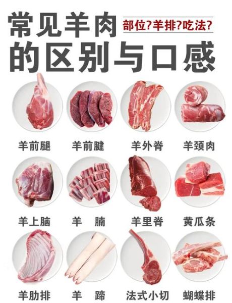 羊肉和猪肉能一起吃吗_一起吃会不会上火-第1张图片-山城妙识