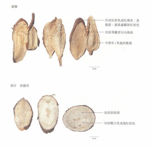 白蔹的功效与作用_白蔹怎么使用-第3张图片-山城妙识