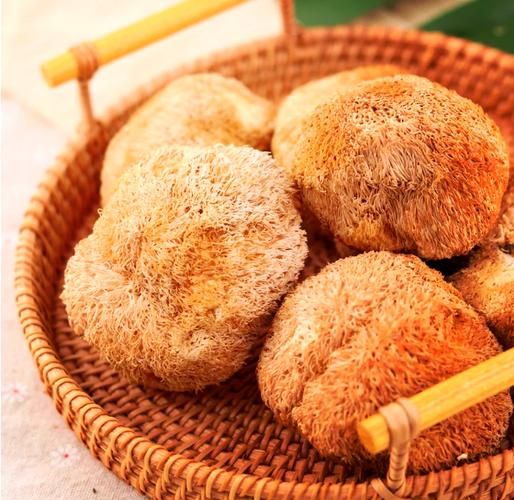 猴头菇怎么炒着吃_猴头菇炒多久才熟-第1张图片-山城妙识