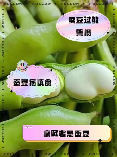 蚕豆什么人不能吃_蚕豆禁忌人群有哪些-第1张图片-山城妙识