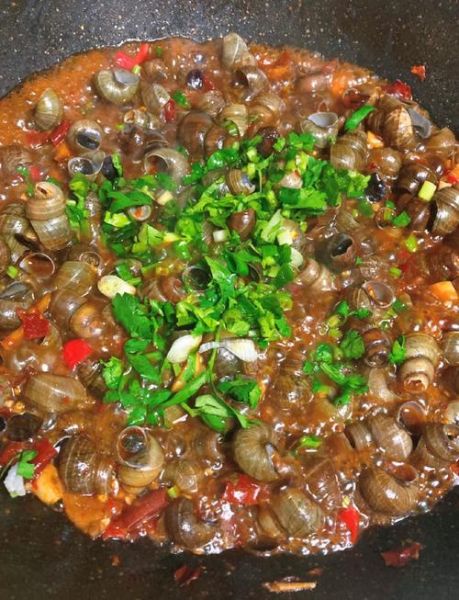 辣炒田螺怎么做最正宗_辣炒田螺需要焯水吗-第3张图片-山城妙识