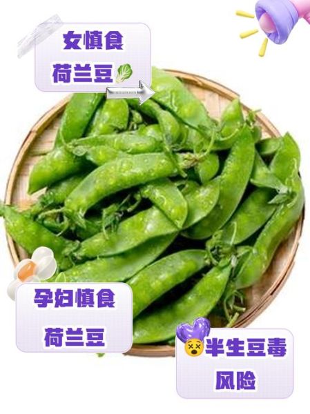 荷兰豆不熟能吃吗_荷兰豆生吃会中毒吗-第3张图片-山城妙识 荷兰豆不熟能吃吗_荷兰豆生吃会中毒吗-第3张图片-山城妙识