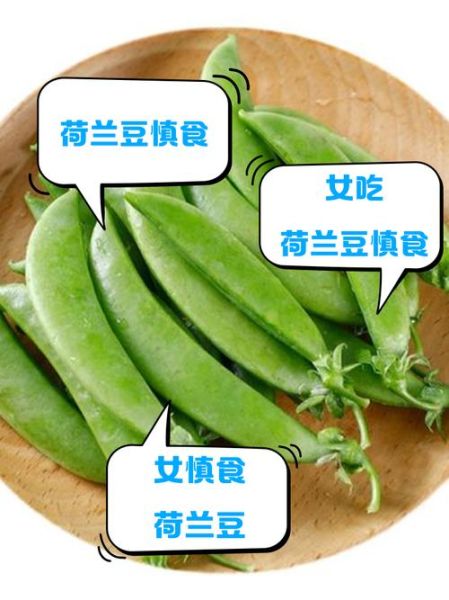 荷兰豆不熟能吃吗_荷兰豆生吃会中毒吗-第2张图片-山城妙识 荷兰豆不熟能吃吗_荷兰豆生吃会中毒吗-第2张图片-山城妙识