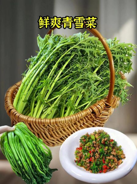 雪里蕻怎么腌制好吃_雪里蕻腌制多久能吃-第1张图片-山城妙识 雪里蕻怎么腌制好吃_雪里蕻腌制多久能吃-第1张图片-山城妙识