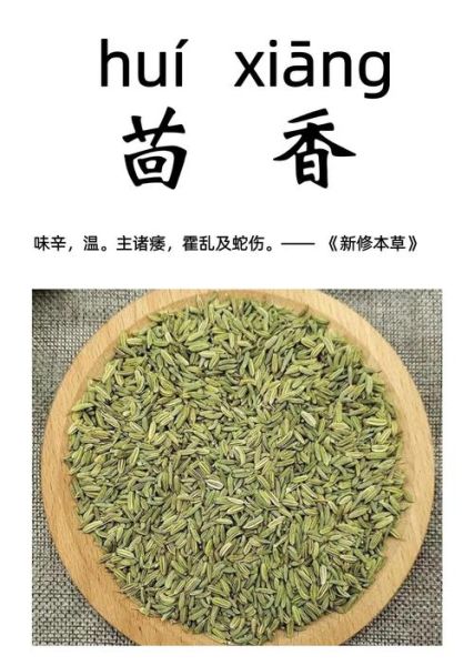 小茴香什么人不能吃_小茴香的副作用有哪些-第2张图片-山城妙识 小茴香什么人不能吃_小茴香的副作用有哪些-第2张图片-山城妙识