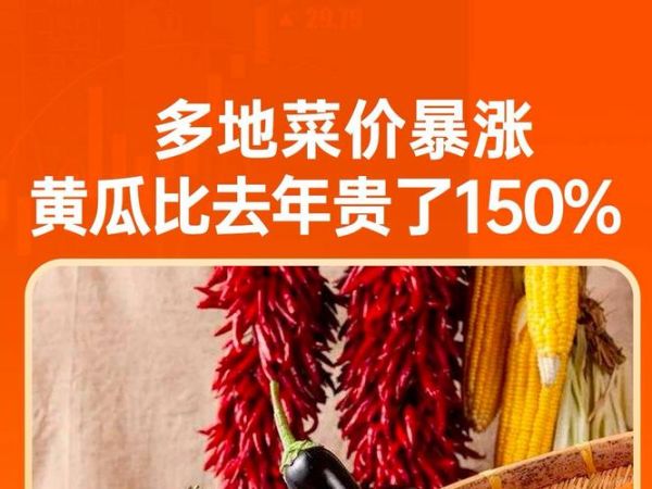 上海菜价为什么上涨_上海蔬菜价格最新行情-第3张图片-山城妙识 上海菜价为什么上涨_上海蔬菜价格最新行情-第3张图片-山城妙识