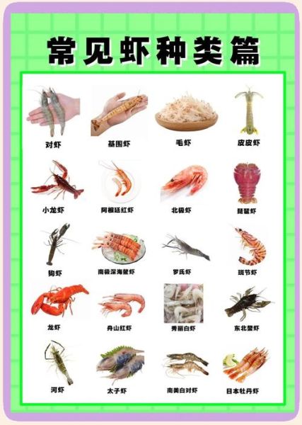 中国最大的淡水虾是什么_养殖技巧有哪些-第1张图片-山城妙识 中国最大的淡水虾是什么_养殖技巧有哪些-第1张图片-山城妙识