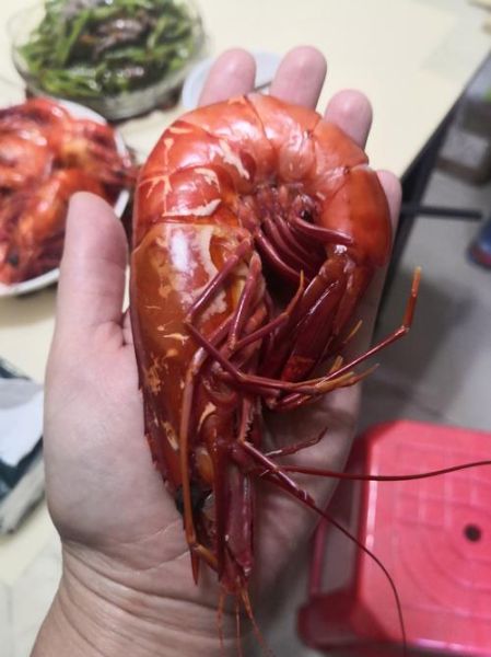 中国最大的淡水虾是什么_养殖技巧有哪些-第3张图片-山城妙识 中国最大的淡水虾是什么_养殖技巧有哪些-第3张图片-山城妙识