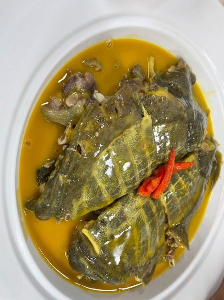 水鱼的做法有几种_水鱼怎么做好吃-第1张图片-山城妙识 水鱼的做法有几种_水鱼怎么做好吃-第1张图片-山城妙识