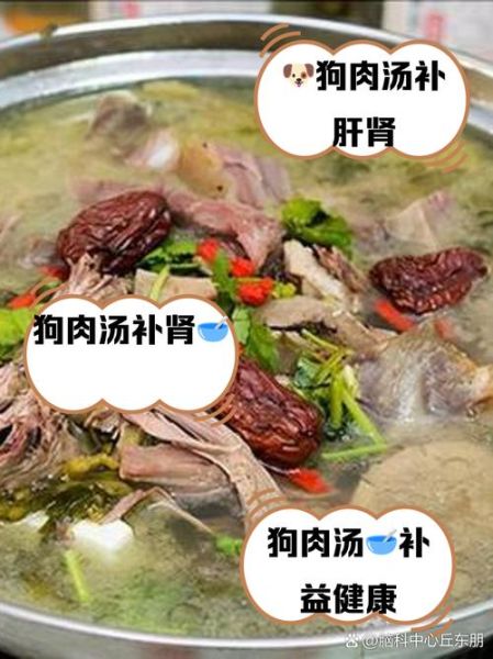 狗肉汤语音在线试听_狗肉汤做法音频在哪听-第1张图片-山城妙识