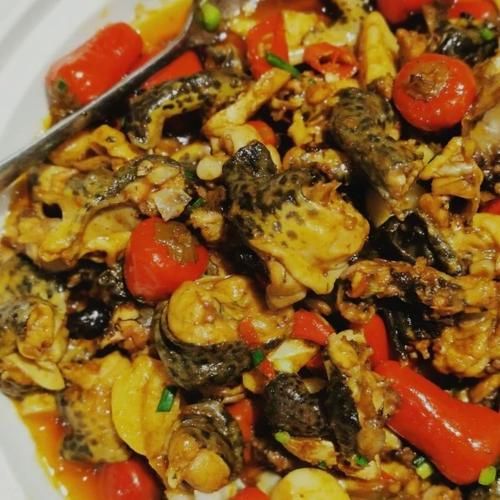 石鸡青蛙的区别_石鸡青蛙哪个好吃-第1张图片-山城妙识