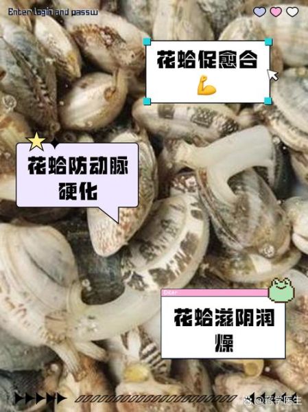 花蛤的功效与作用_花蛤的禁忌有哪些-第2张图片-山城妙识