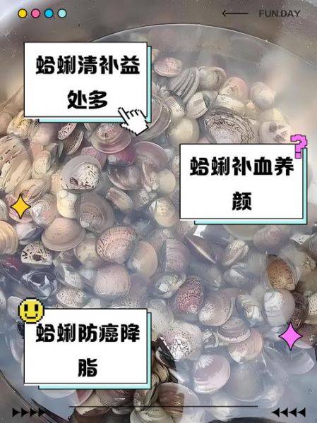 花蛤的功效与作用_花蛤的禁忌有哪些-第3张图片-山城妙识