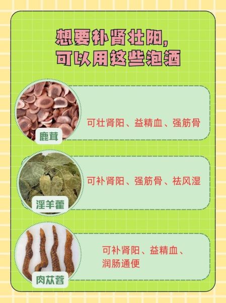 补肾壮阳泡酒药材配方大全_用什么药材泡酒效果最好-第2张图片-山城妙识