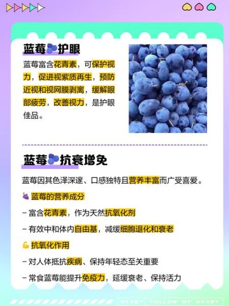 蓝莓的营养价值有哪些_蓝莓的功效与作用是什么-第2张图片-山城妙识