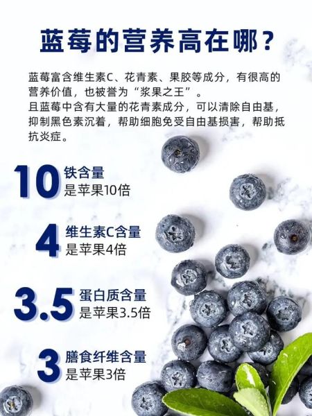 蓝莓的营养价值有哪些_蓝莓的功效与作用是什么-第3张图片-山城妙识