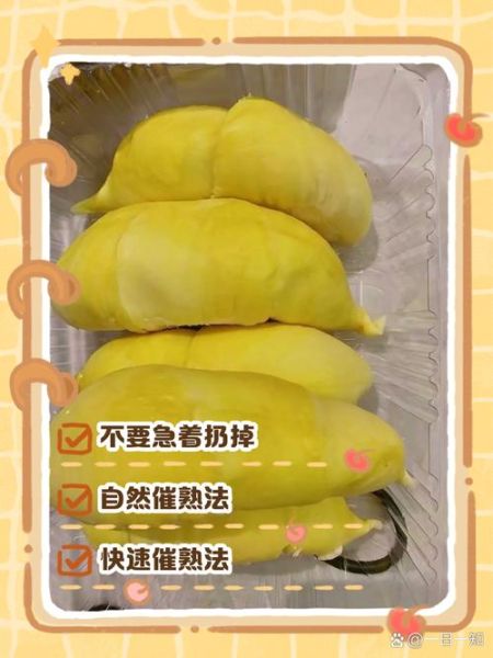 榴莲没熟已经剥出来了怎么办_如何催熟榴莲肉-第2张图片-山城妙识
