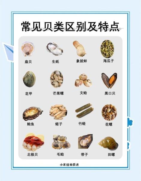 贝类海鲜怎么做_贝类海鲜怎么清洗才干净-第3张图片-山城妙识