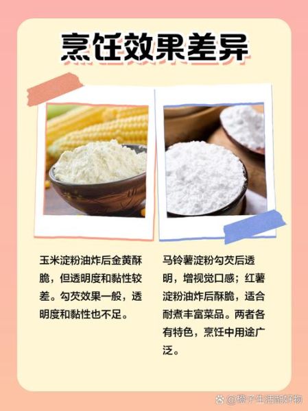 生粉是玉米淀粉吗_生粉与玉米淀粉区别-第2张图片-山城妙识