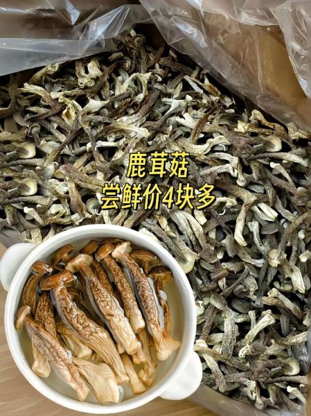 鹿茸价格多少一斤_鹿茸多少钱一斤2024-第1张图片-山城妙识