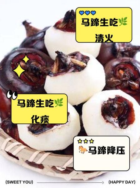 马蹄怎么做好吃_马蹄可以生吃吗-第1张图片-山城妙识