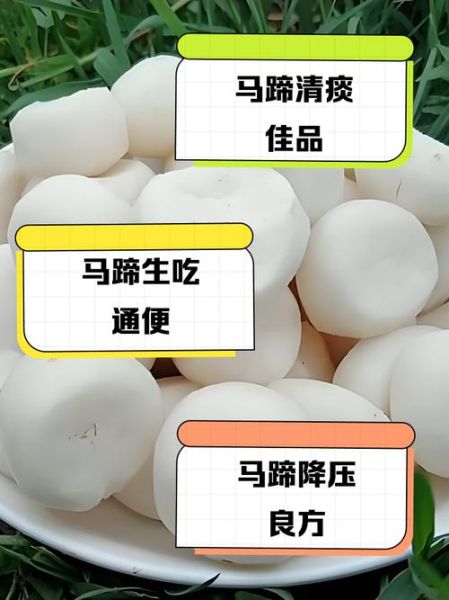 马蹄怎么做好吃_马蹄可以生吃吗-第3张图片-山城妙识