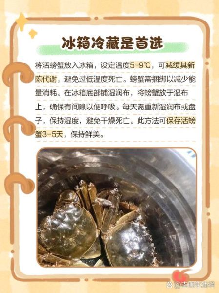 熟螃蟹怎么保存_熟螃蟹冷藏还是冷冻-第3张图片-山城妙识