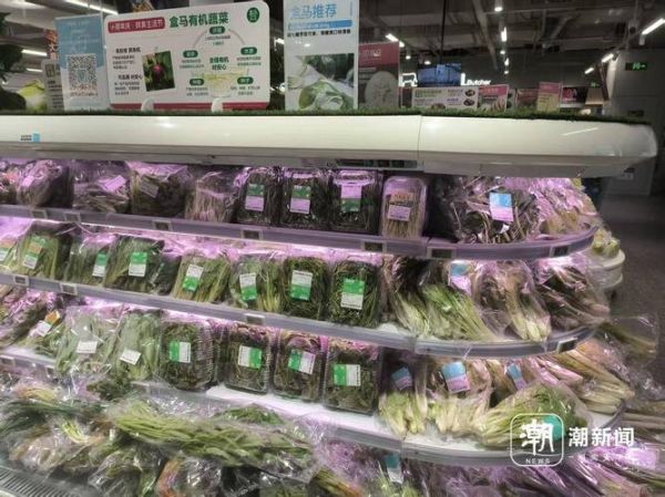 菠菜价格为什么上涨_菠菜多少钱一斤-第2张图片-山城妙识