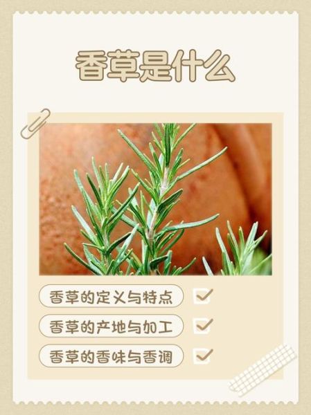 香草app怎么下载_香草app在哪下载-第1张图片-山城妙识