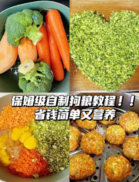 自制狗粮的最佳配方_狗狗每天需要多少营养-第1张图片-山城妙识