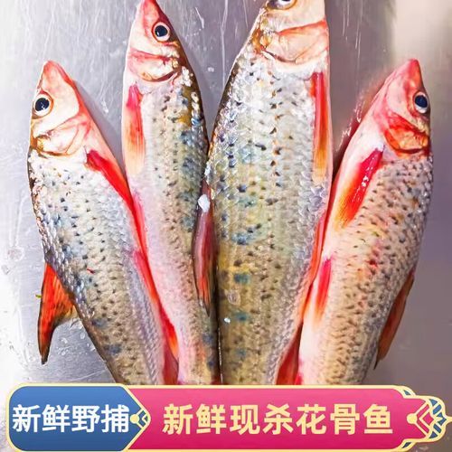 花菇鱼怎么做才好吃_花菇鱼的营养价值有哪些-第3张图片-山城妙识 花菇鱼怎么做才好吃_花菇鱼的营养价值有哪些-第3张图片-山城妙识