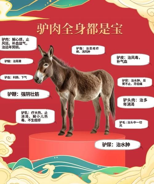 哪里可以学驴肉的做法_驴肉怎么做好吃-第1张图片-山城妙识