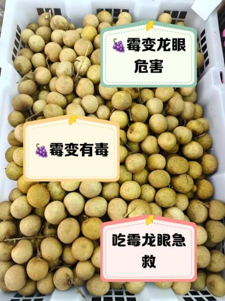 龙眼一天吃几颗_吃多了会上火吗-第1张图片-山城妙识