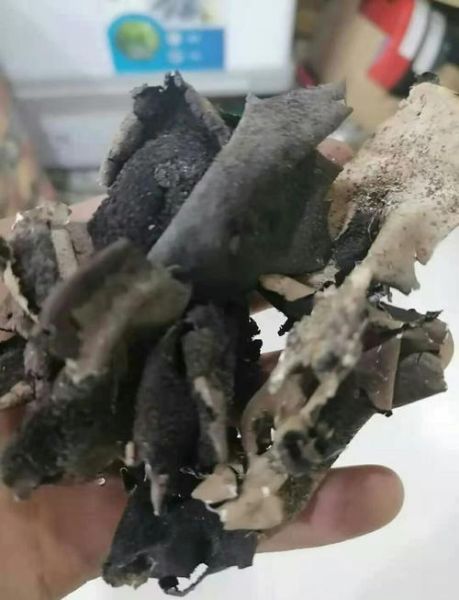 石耳怎么吃_石耳泡发要多久-第1张图片-山城妙识 石耳怎么吃_石耳泡发要多久-第1张图片-山城妙识