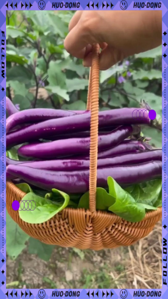 炒茄子怎么做不吸油_炒茄子怎么保持紫色-第2张图片-山城妙识