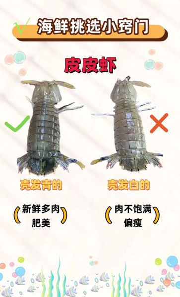 海鲜怎么保存才新鲜_海鲜冷冻好还是冷藏好-第2张图片-山城妙识