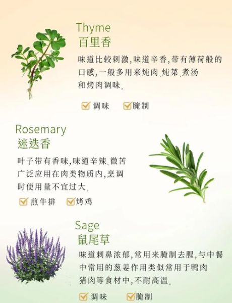 西餐调料有哪些_常用西餐调料怎么用-第2张图片-山城妙识 西餐调料有哪些_常用西餐调料怎么用-第2张图片-山城妙识