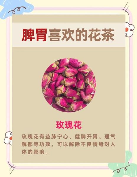 胃寒脾虚湿气重怎么调理_吃什么好-第1张图片-山城妙识