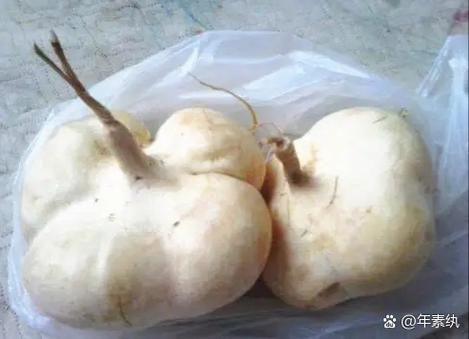 北瓜图片区别_如何一眼分辨真假北瓜-第3张图片-山城妙识 北瓜图片区别_如何一眼分辨真假北瓜-第3张图片-山城妙识