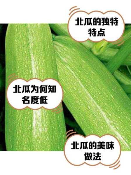 北瓜图片区别_如何一眼分辨真假北瓜-第2张图片-山城妙识 北瓜图片区别_如何一眼分辨真假北瓜-第2张图片-山城妙识