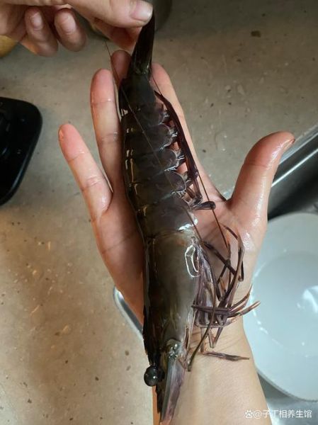 虎虾怎么做好吃_虎虾和基围虾的区别-第2张图片-山城妙识