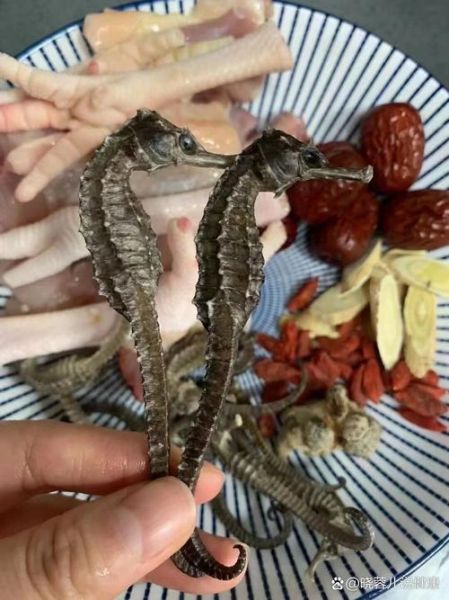 海马怎样吃最补肾壮阳_海马壮阳的正确吃法-第3张图片-山城妙识
