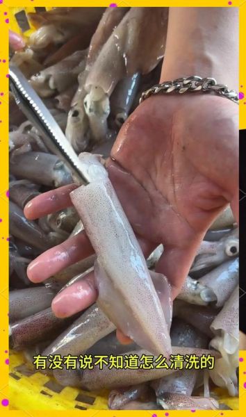 鱿鱼仔怎么清洗_鱿鱼仔清洗内脏技巧-第1张图片-山城妙识