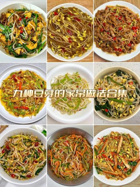 自制绿豆芽的做法大全_绿豆芽怎么发最快-第1张图片-山城妙识 自制绿豆芽的做法大全_绿豆芽怎么发最快-第1张图片-山城妙识