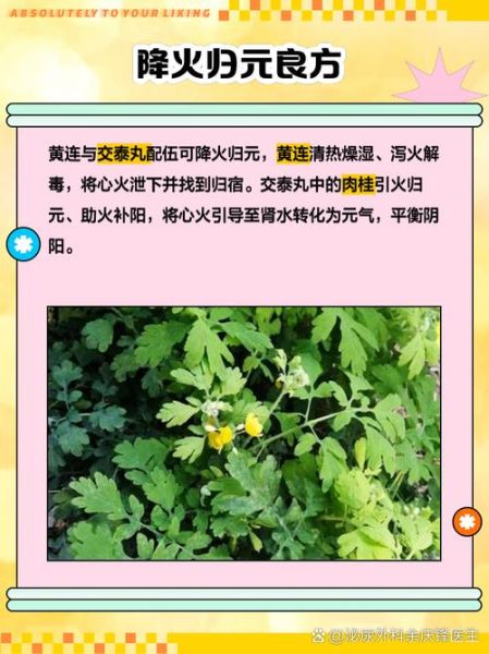 交泰丸适合哪些人吃_交泰丸的功效与作用-第1张图片-山城妙识